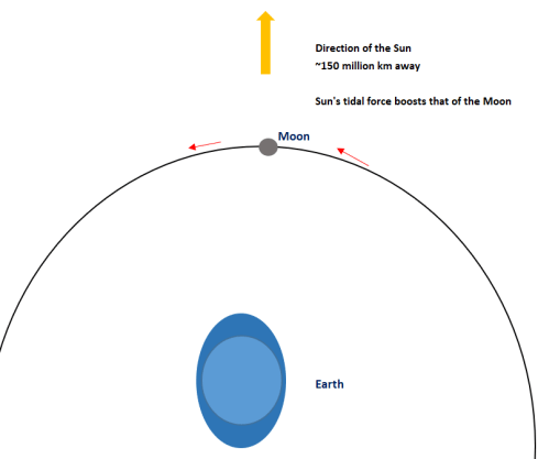 Overview of tides – Explaining Science