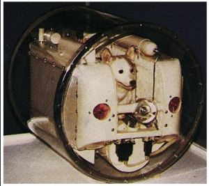 Sputnik 2 – Explaining Science
